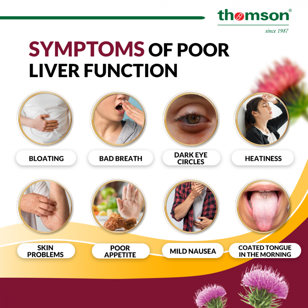 Thomson Health Livrin (30 Tablets) - Anti-Inflammatory and High In ...