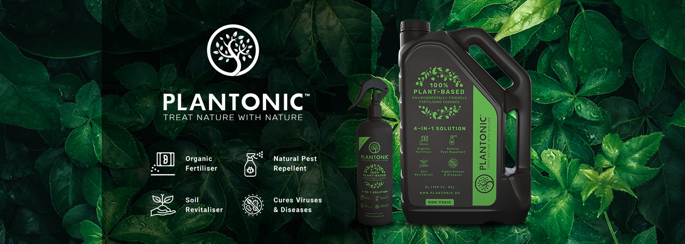 Plantonic Flagship Store